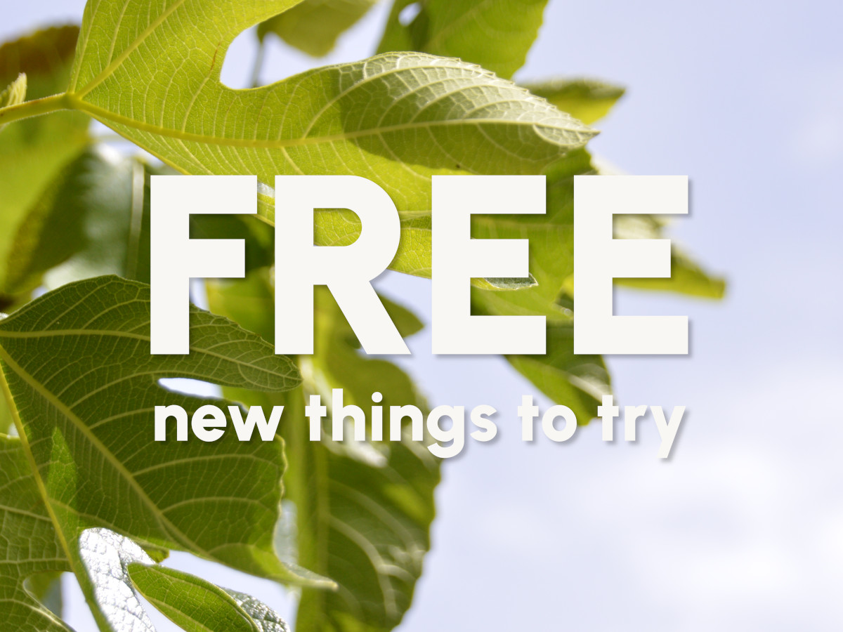 Free New Things To Try - Challenge Fifty Two
